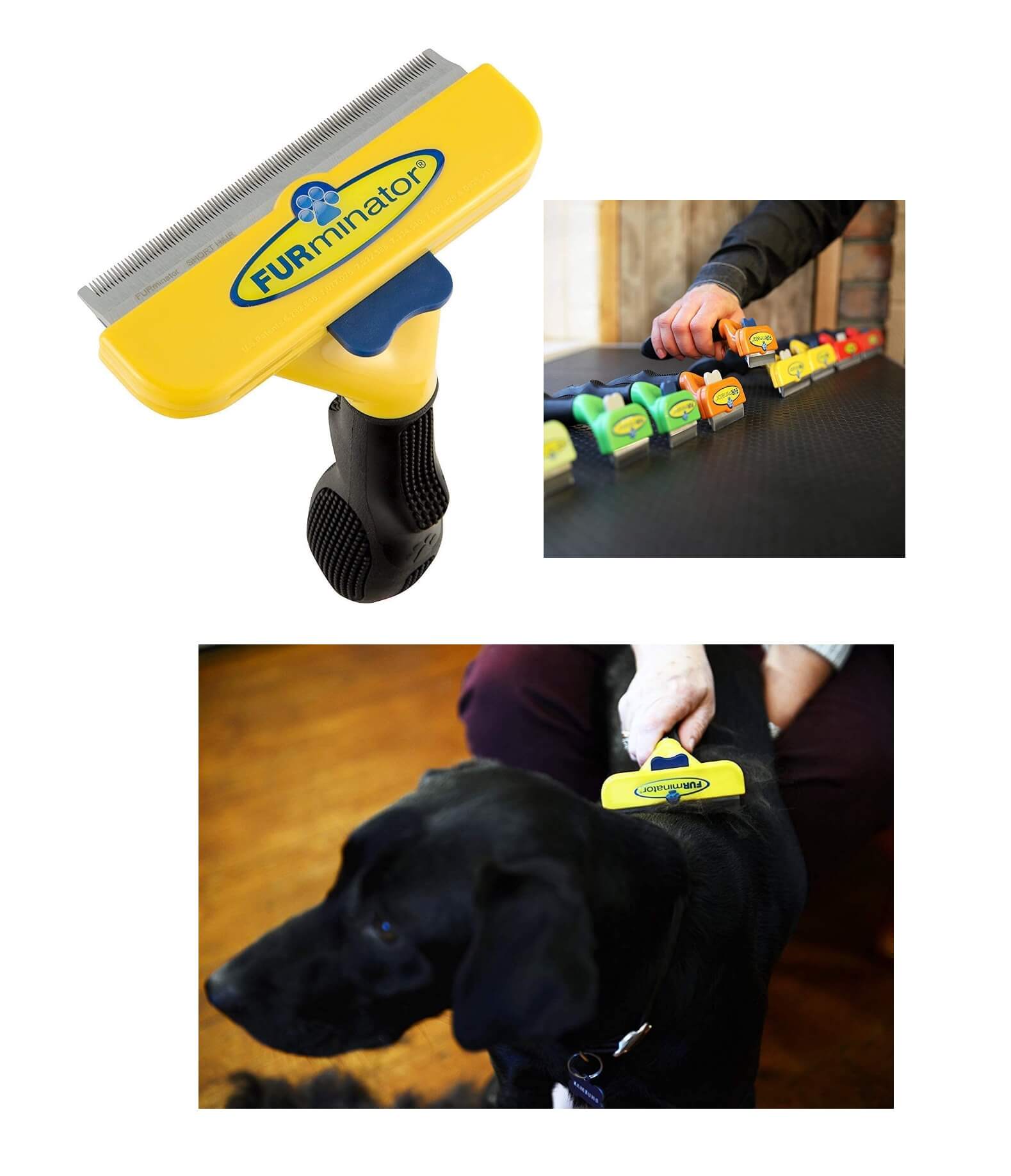4 Basic dog grooming tools - HubKnot